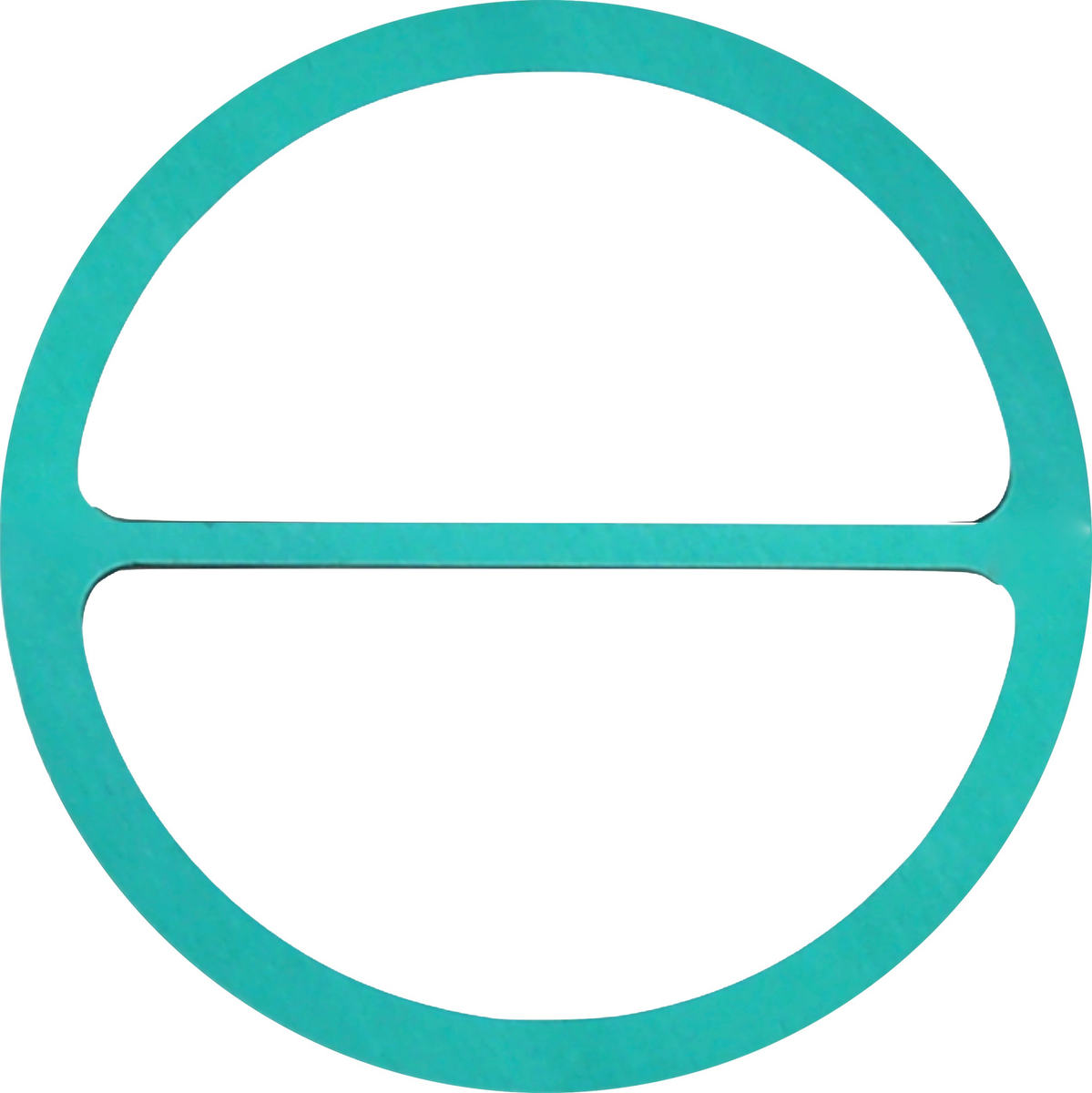 10" B300 2 Pass Gasket - PN 329880092510 – FindGaskets.com